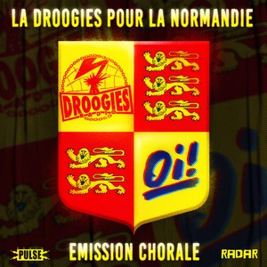 La Droogies pour la Normandie du 21.11.2020 | PULSE 90 FM